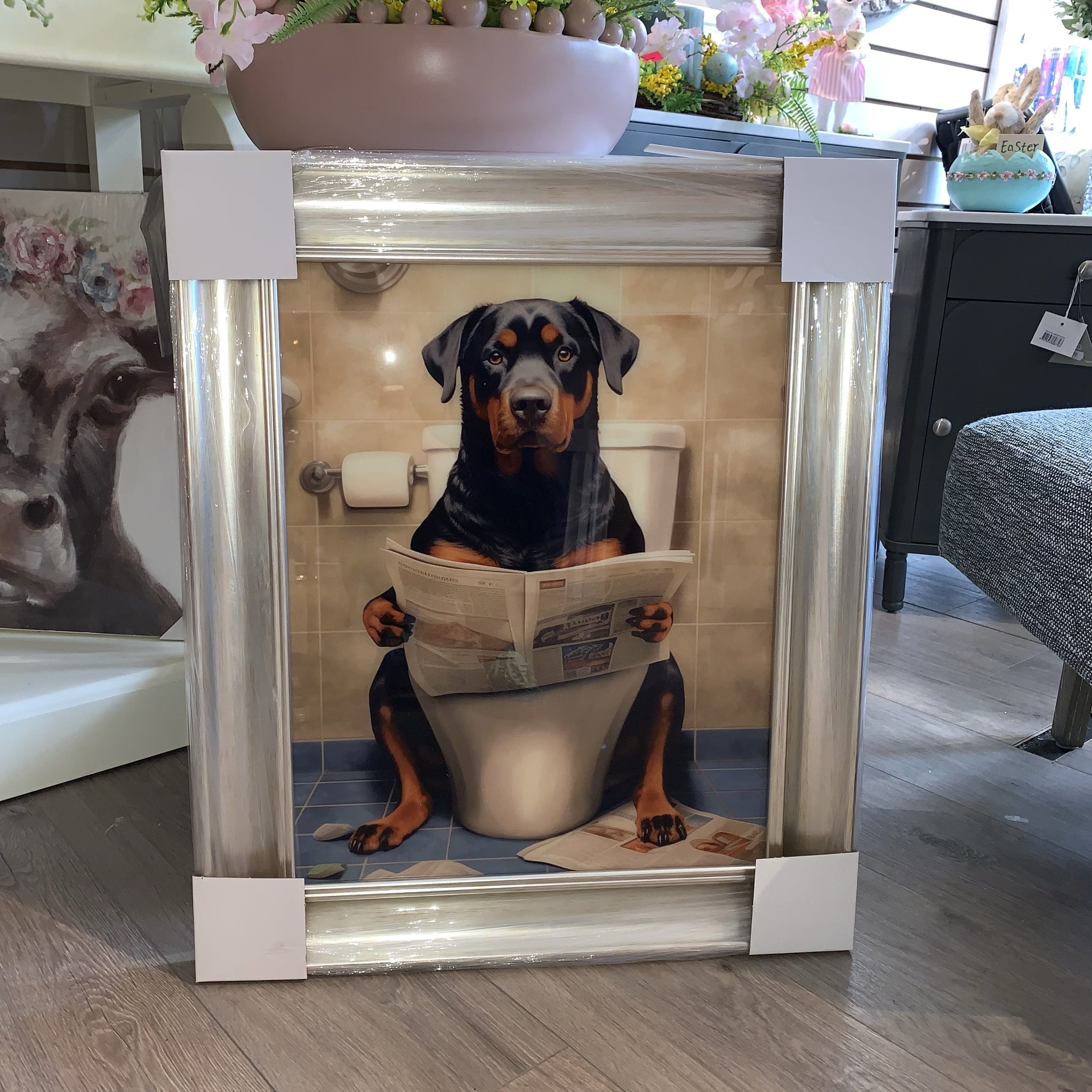 Rottweiler on Toilet