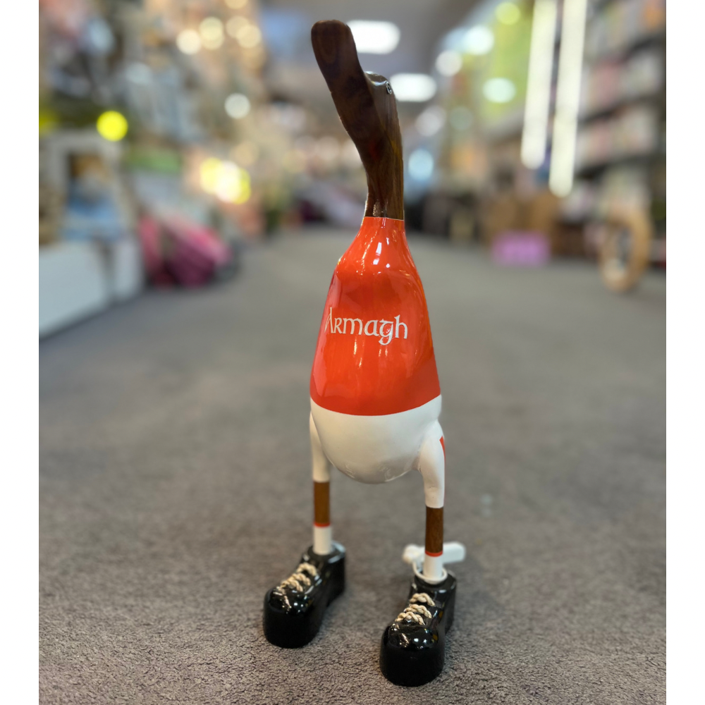 Armagh Duck